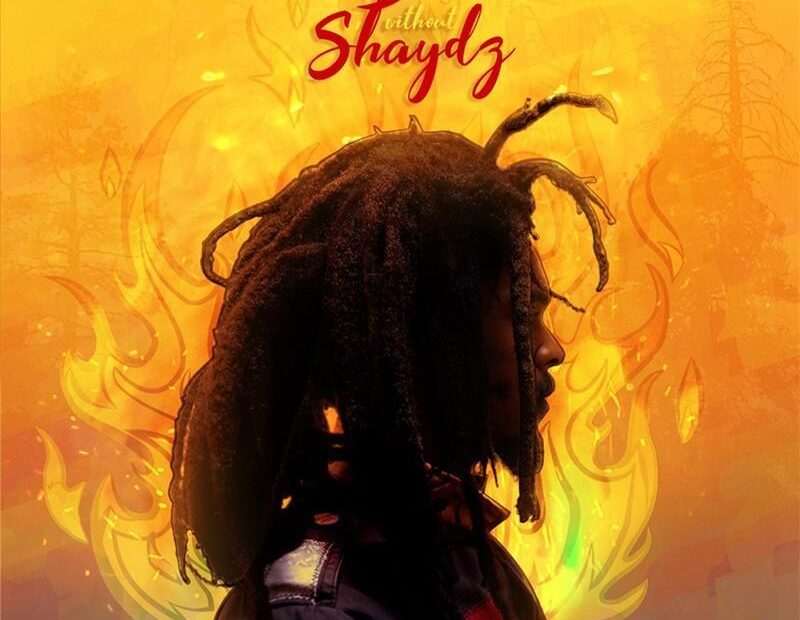 Silkki Wonda - Die Without Shaydz - Reggae Albums